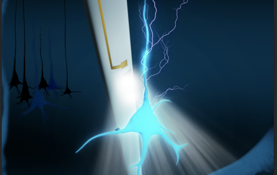 UNI Salento, una sonda per studiare il cervello in alta definizione ...