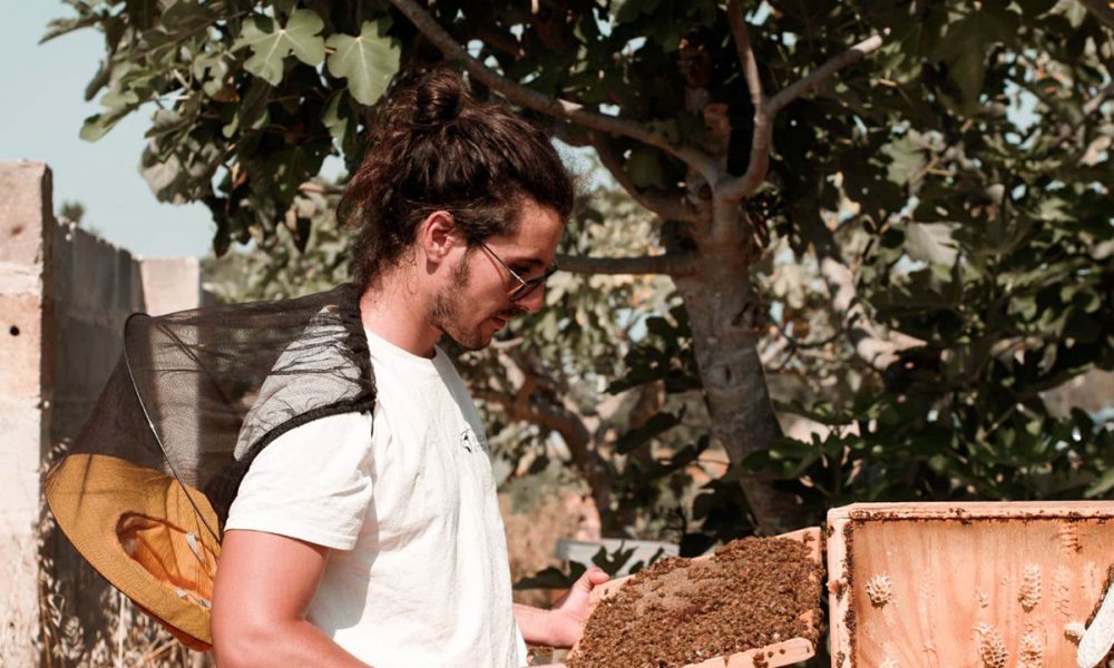 Il “Miele di Gigi”, Gocce d’Oro | Il Gallo