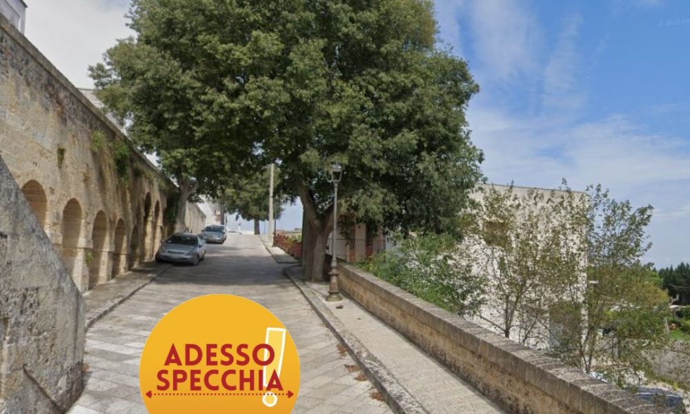 C’era una volta un albero, un Principe e la Politica a Specchia | Il Gallo