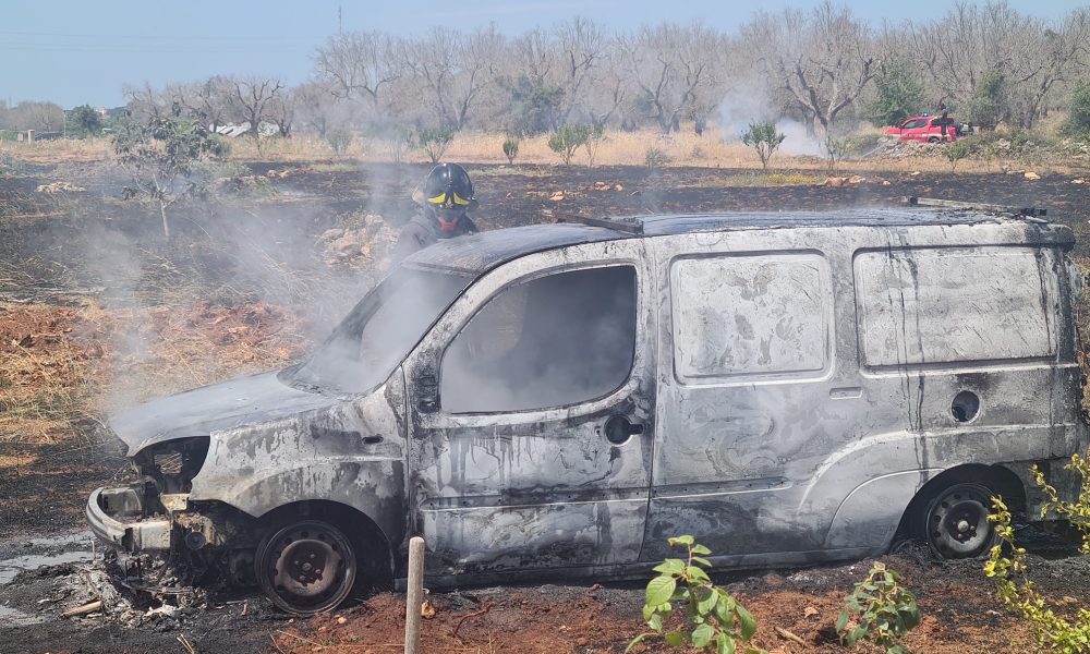 Dalle sterpaglie al rogo: anziano provoca maxi incendio | Il Gallo