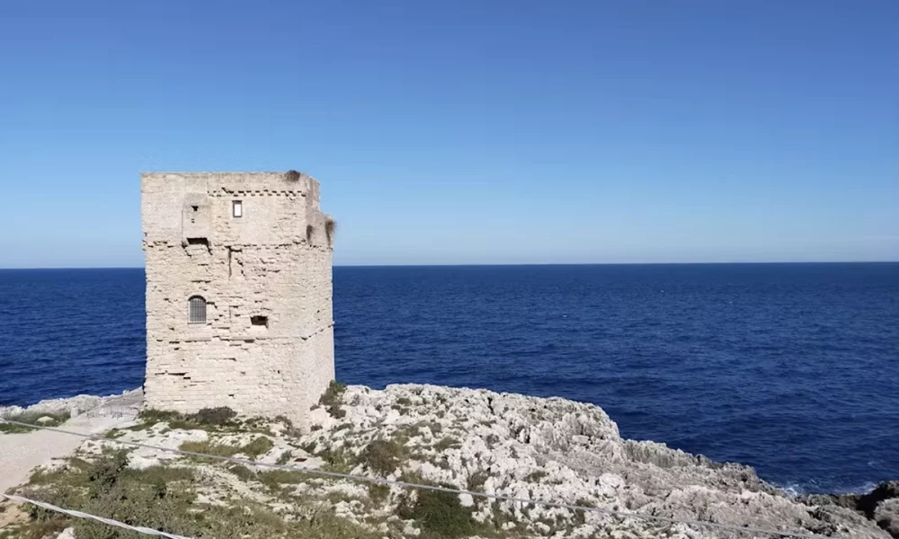 «Salviamo Torre Palane» | Il Gallo