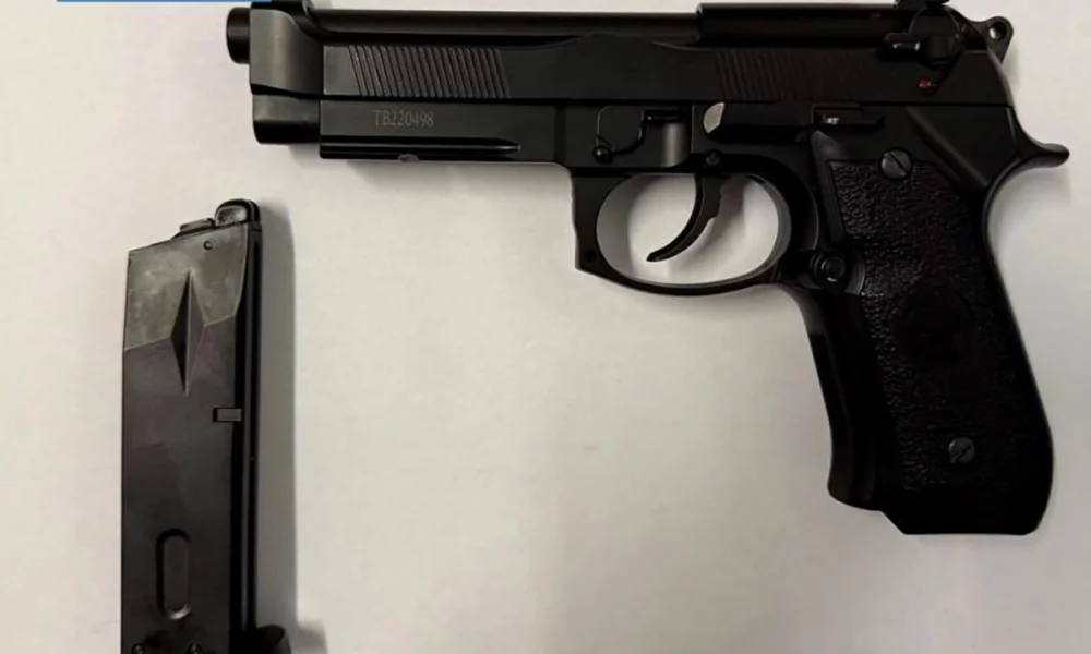 Vendimi la casa! E la minaccia con la pistola | Il Gallo